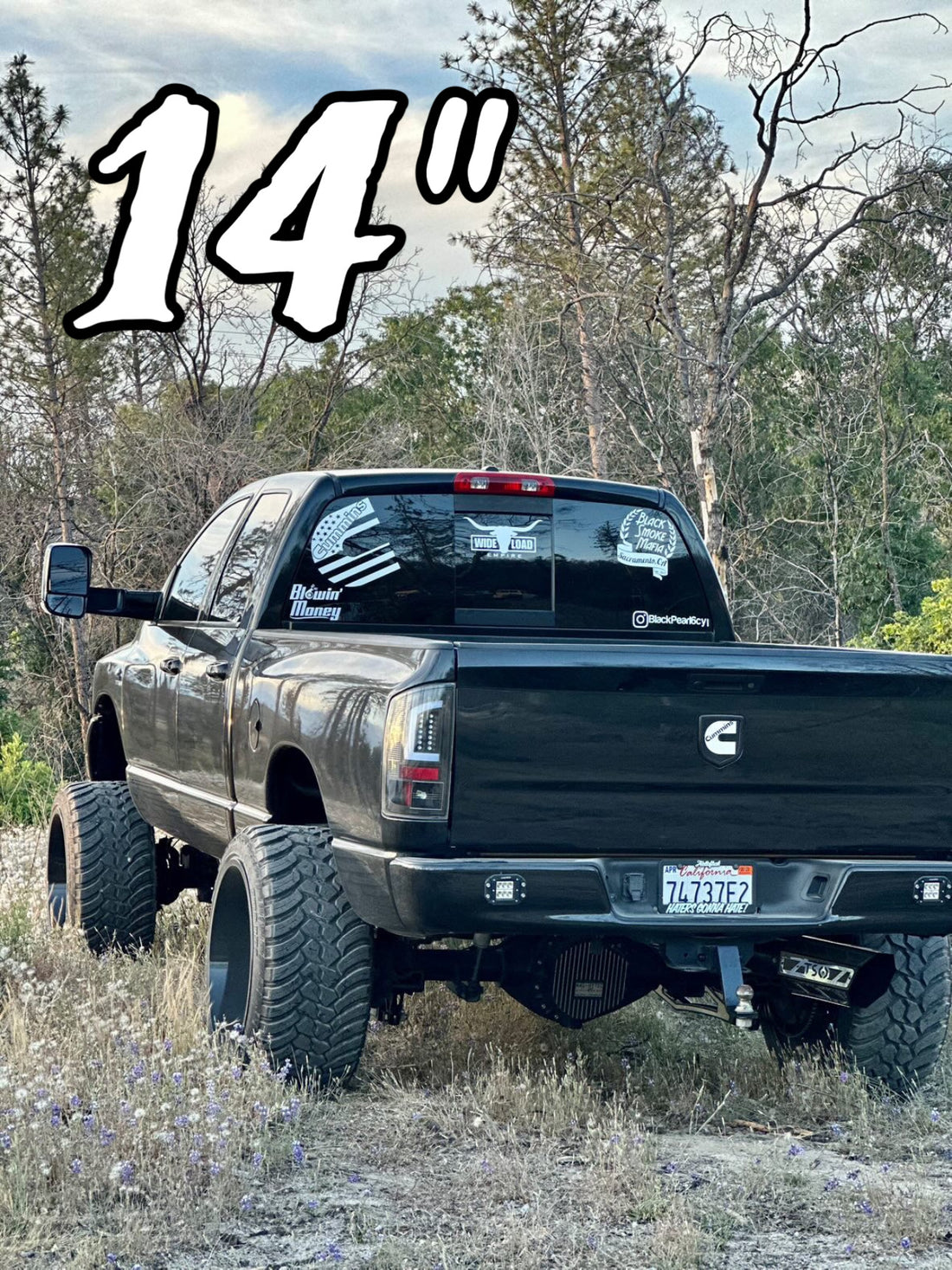 Longhorn Decal – Wide Load Empire